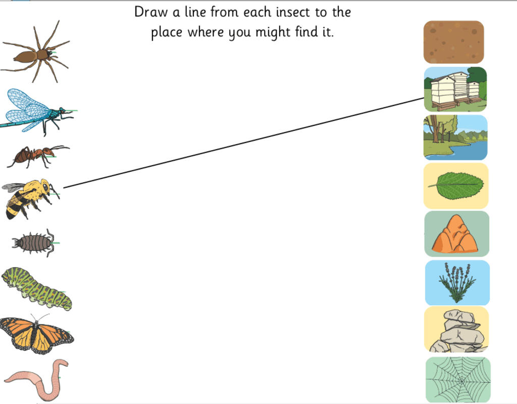 Crick Software Adapted Resources - CENMAC