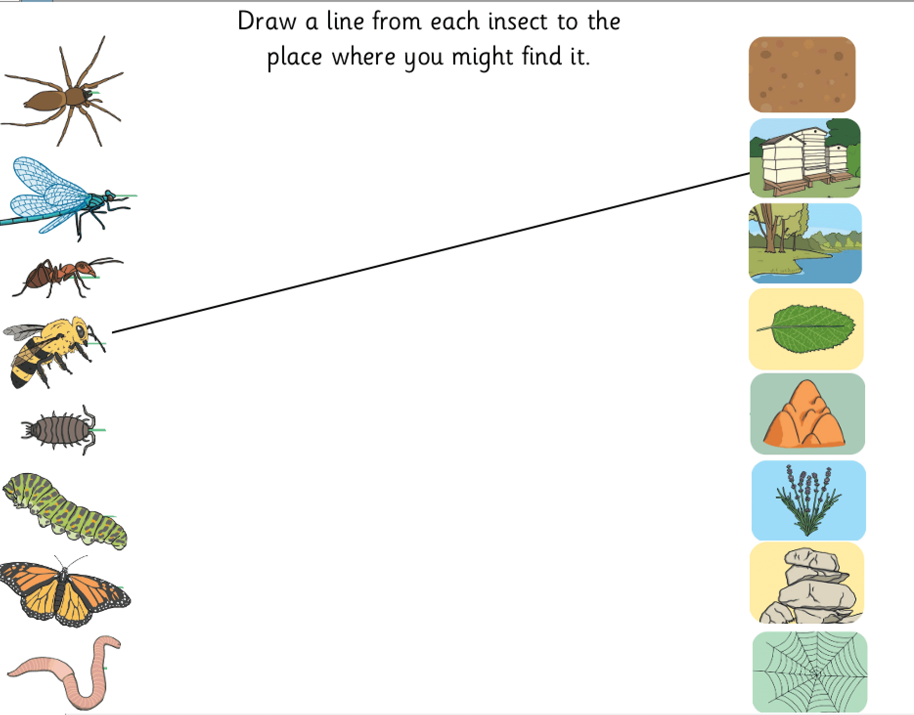 Crick Software Adapted Resources - CENMAC