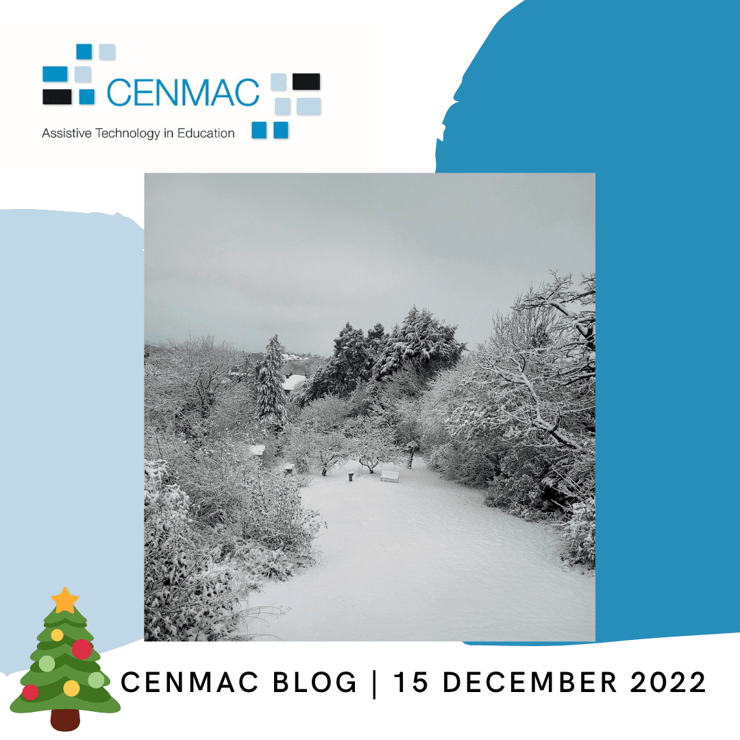 Winter Wonderland – end of term CENMAC team highlights! - CENMAC